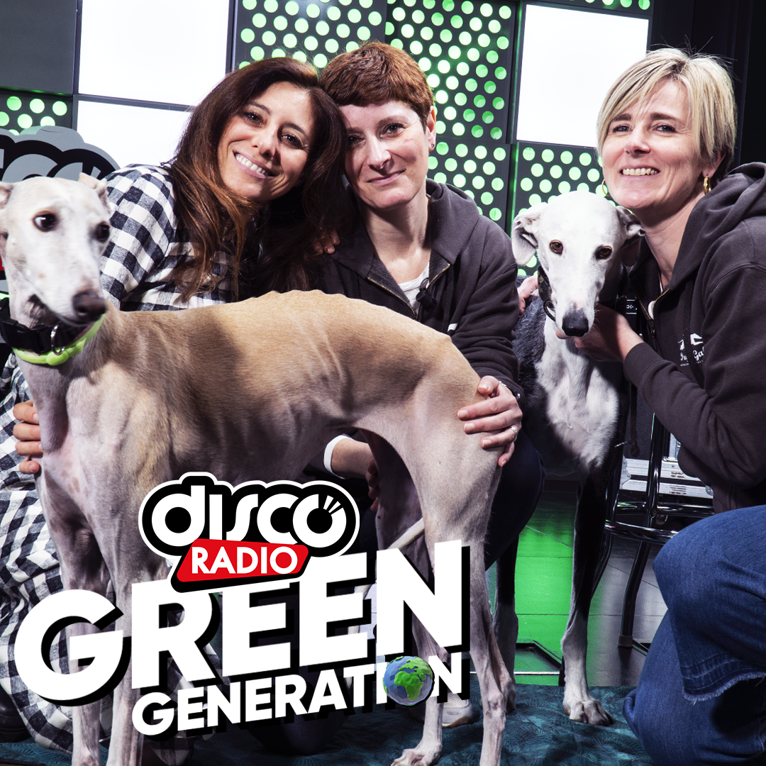 Green Generation - PROGETTO GALGO - Discoradio